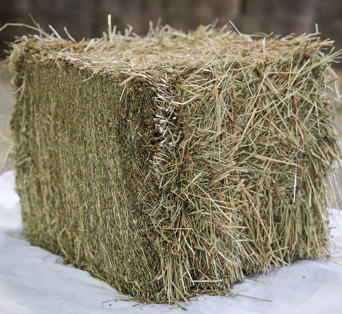 Rice Straw | Hudson Hay-Map