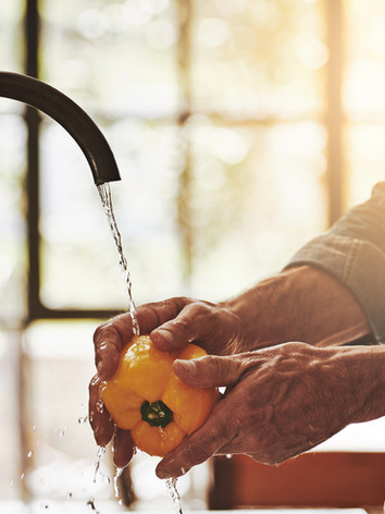 Water filter for water filtration of PFAS and pesticides
