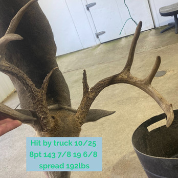 Deer Harvest 2024-2025 | Jackson Point Huntin