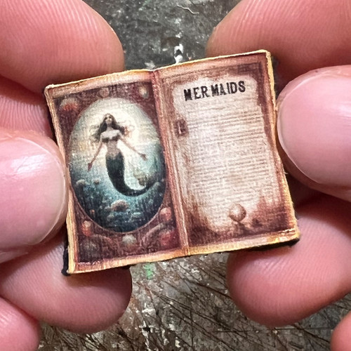 Miniature Open Book --- Mermaids | LadyDelaney