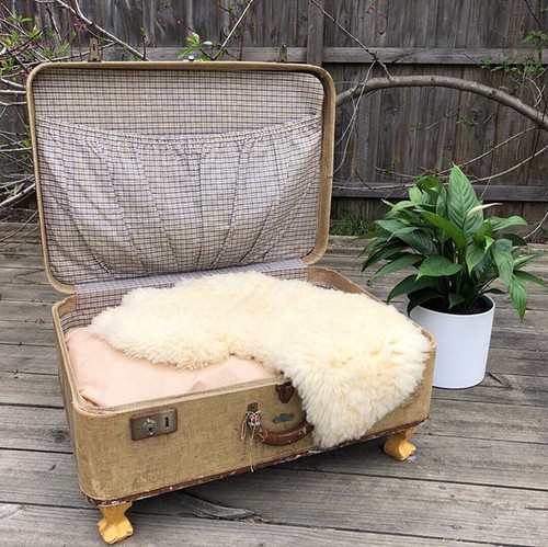 Vintage Suitcase Pet Bed | Wobble Inc.