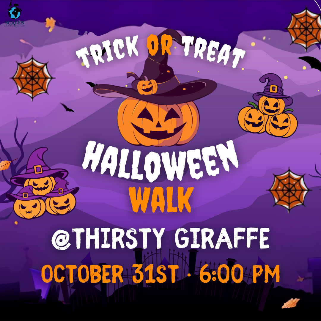 Trick or Treat Halloween Walk 2024 | Scales