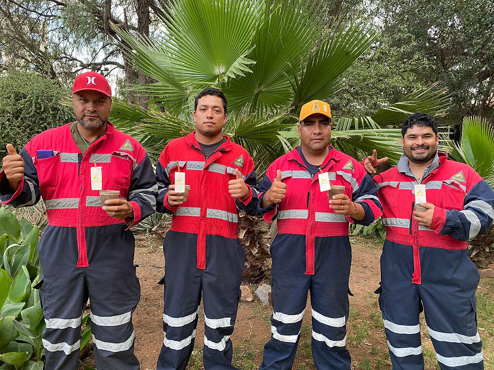 Realiza ECODRILL actividades en favor del Medio Ambiente