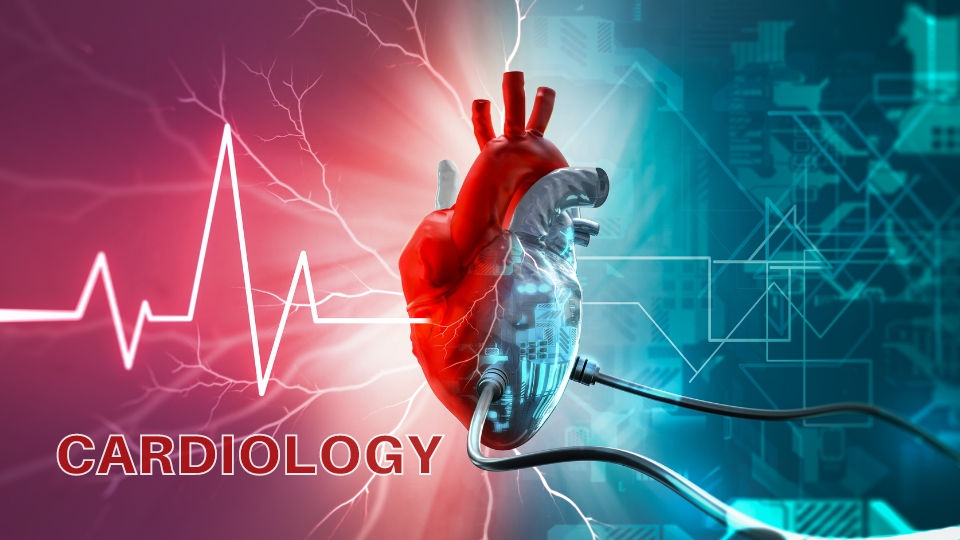 Using Your Voice to Create Comprehensive Cardiology Patient Documentation