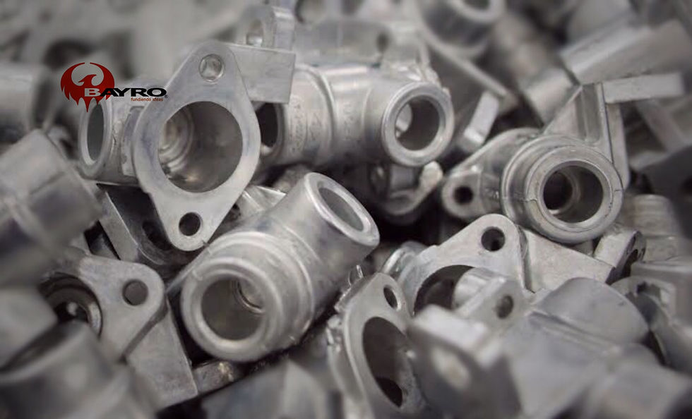 Inicio | BAYRO Mexicana