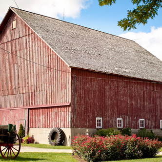 Photo Gallery | Themorafarm