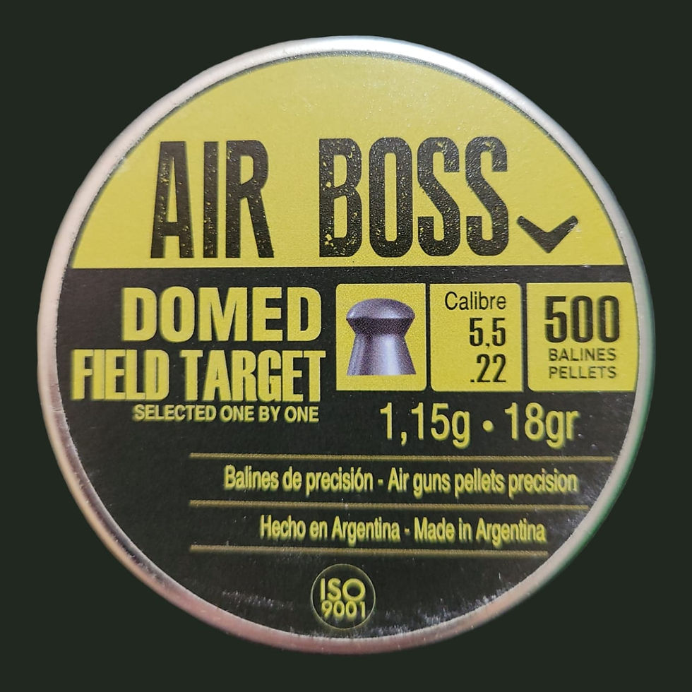 Postones, Balines y Slugs | Caza342