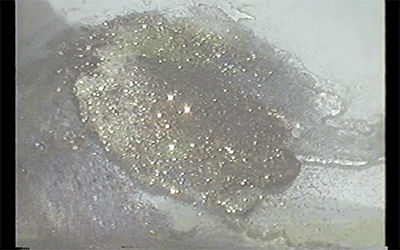 Valentina Alvarado Matos | Visual Artist & experimental filmmaker