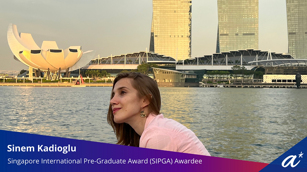 Singapore International Pre-Graduate Award (SIPGA)