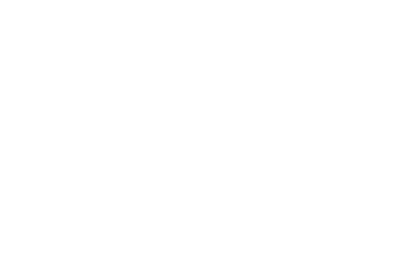 Susan Room | Case Study | wefox