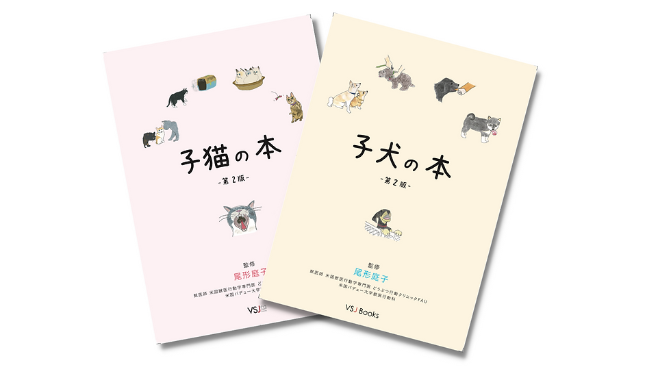 VSJの本 | VSJ CORE & ONE