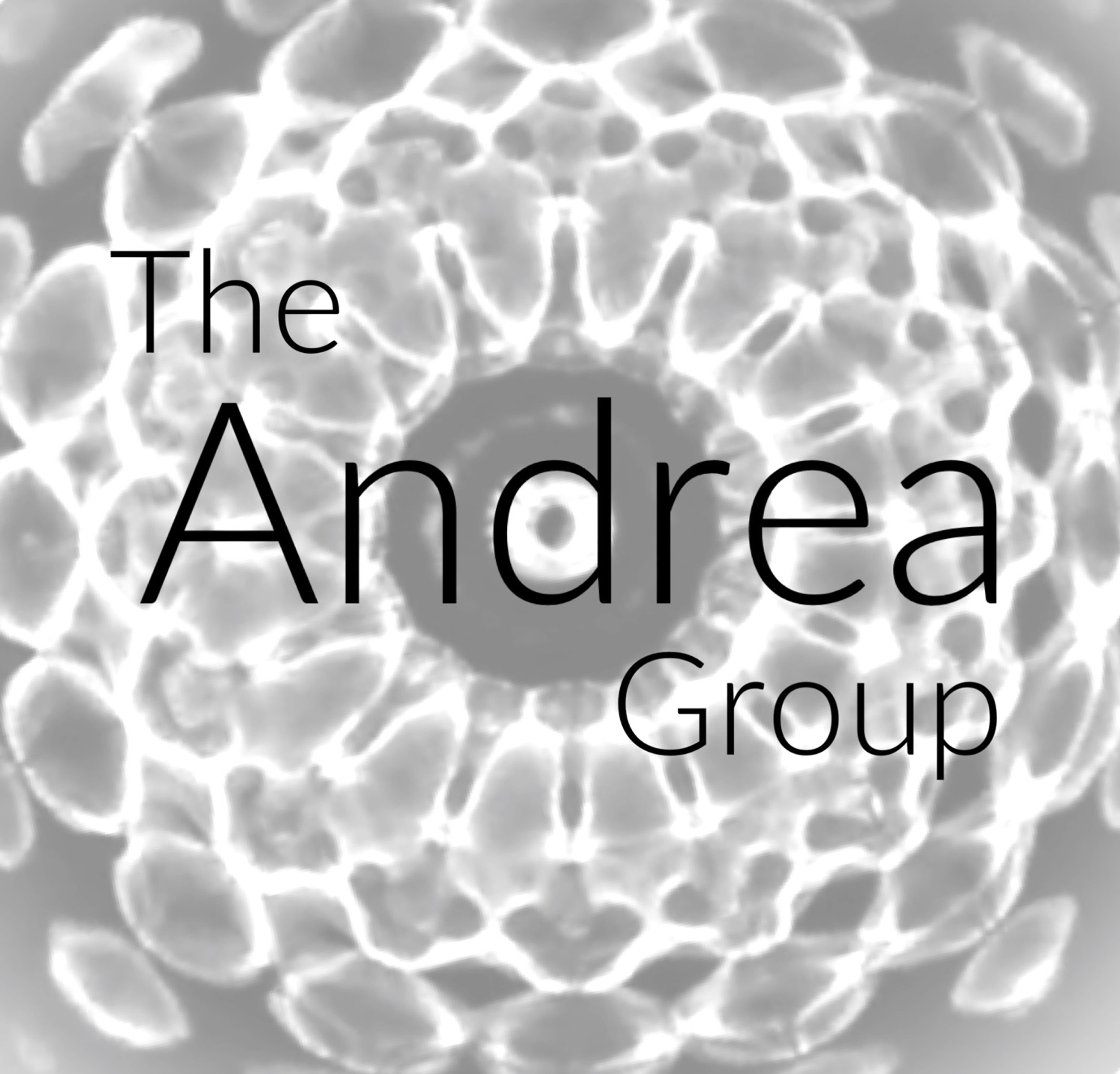 Internet Marketing Service | The Andrea Group | United States