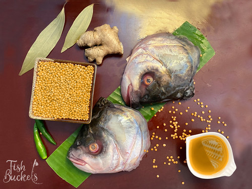 Katla Head | Fish Buckets