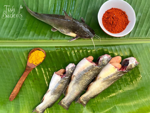 Tangra Big | Fish Buckets