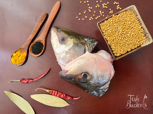 Rui Head | Fish Buckets