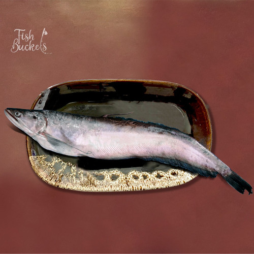 Boal Whole Fish | Fish Buckets