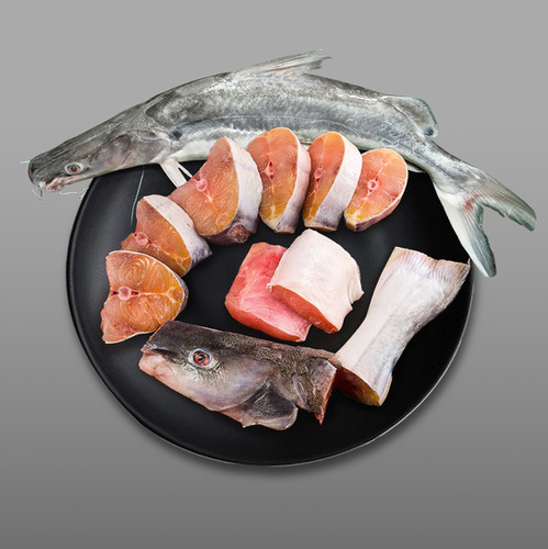 Aar Fish Big | Fish Buckets