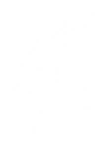 Home | Skystone Chronicles