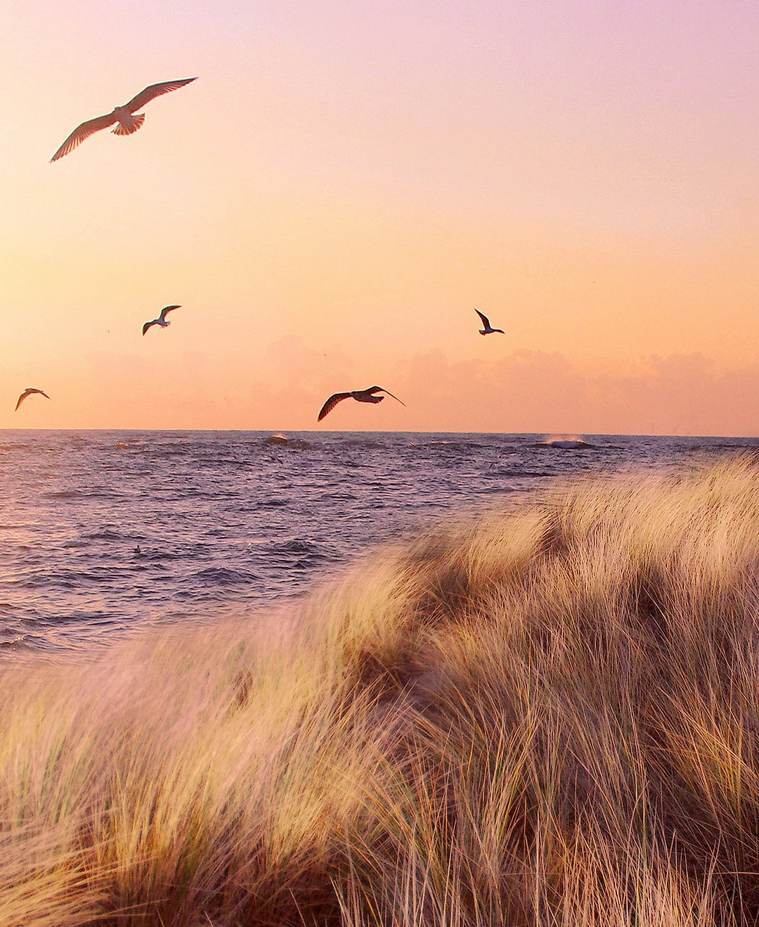 Touch of wind or water – Cloth in Common