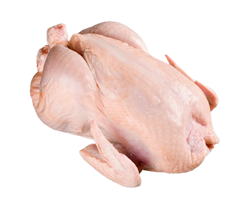 2kg & under Whole Free Run Chicken - | Homestead Farm Eggs