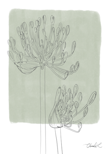 Modern Agapanthus #2 - Digital Print | CL Creative Studio