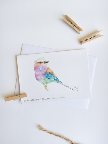 Lilac-breasted Roller Card | CL Creative Studio