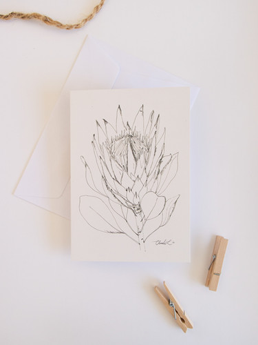 Protea Illustration Card | CL Creative Studio