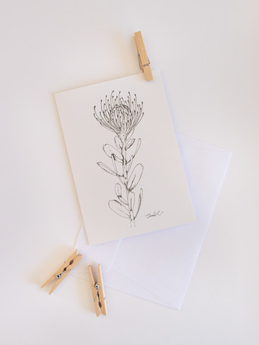 Pincushion Illustration Card | CL Creative Studio