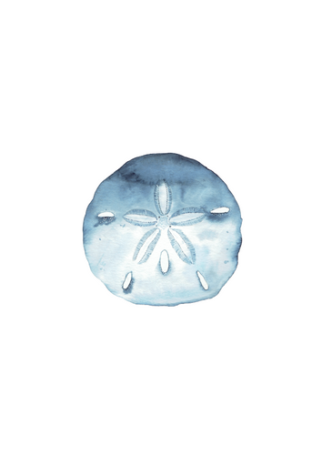 Indigo Sand Dollar - Original | CL Creative Studio
