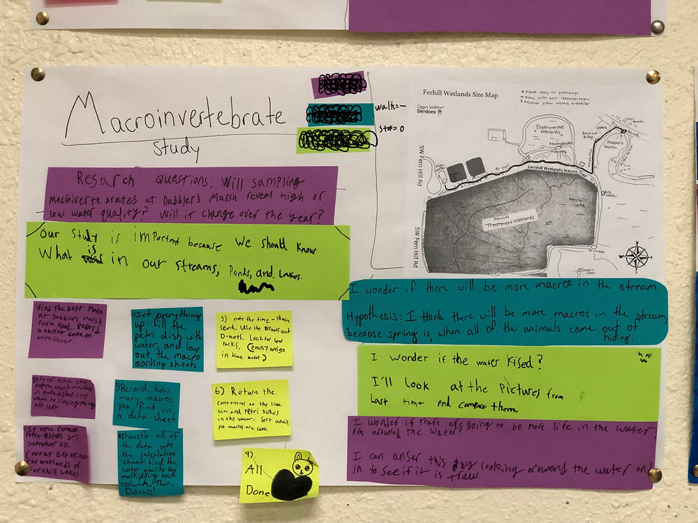 Wetlands Project Posters