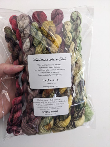 Miniature skein Club. | By Amalie