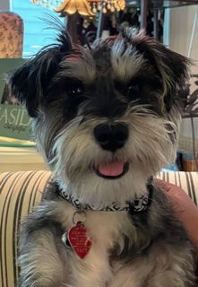 Our Team | De Novo Attorney Service Of Process