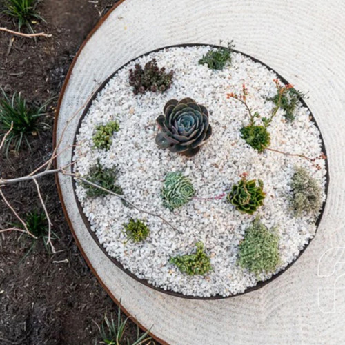 CURVED FORMLINE EDGING 100mm-400mm (Corten or Galvanised) | Building ...