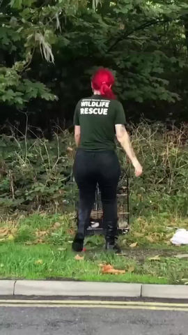 Ricky the Ticky Magpie is Released!