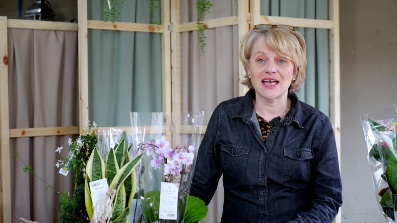 Online Courses | Sharon Dower