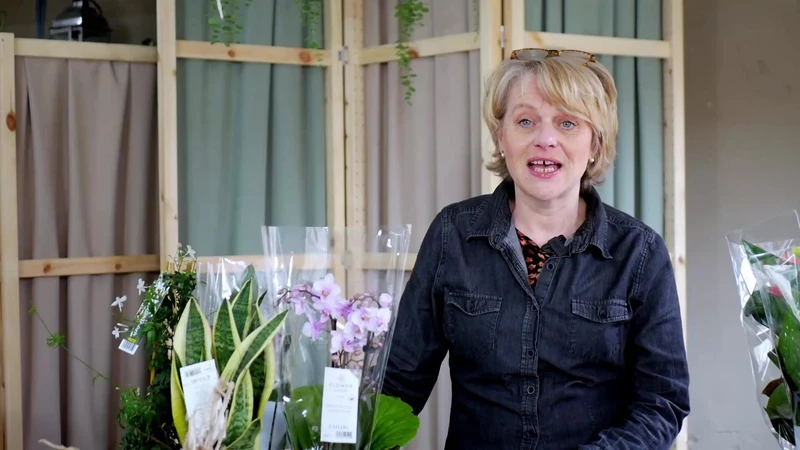 Online Courses | Sharon Dower