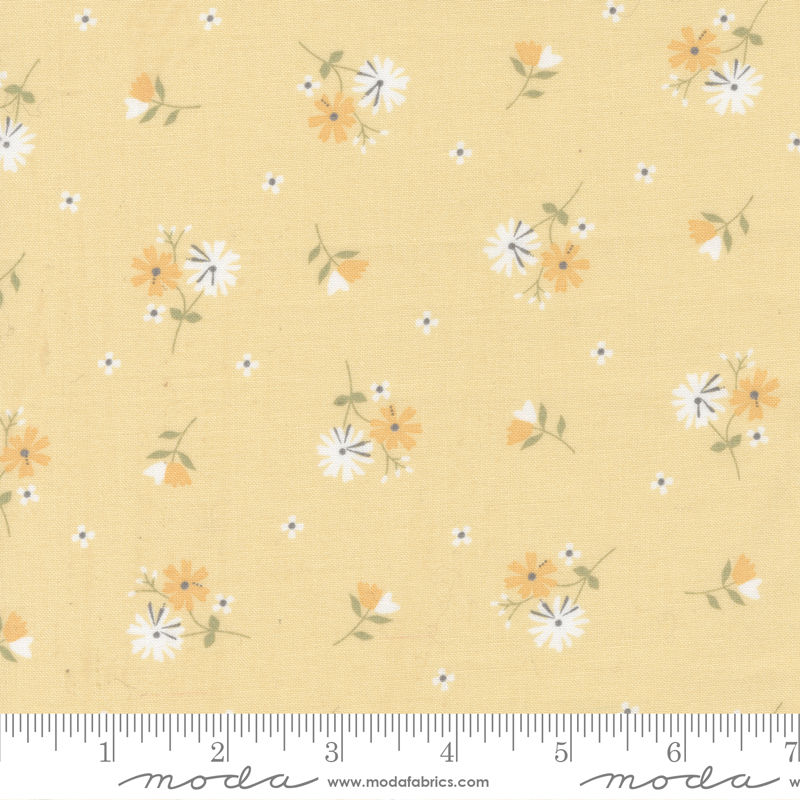 Pastry Shop Quilts | Corey Yoder | Coriander Patterns | Moda Fabrics 2/4