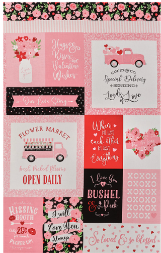 Falling in Love Quilt Panel Moda Riley Blake | Mysite