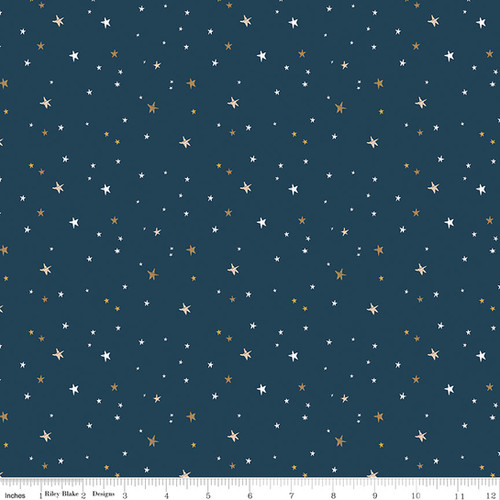 Spin & Twirl Stars 11614O Navy Riley Blake | Mysite