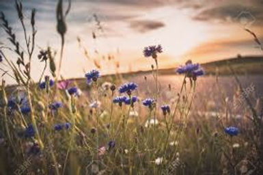 A Celtic Spring: Brigid and Imbolc