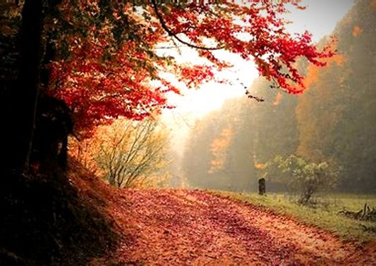 The Autumnal Equinox: Light, Darkness, and Celtic Balance