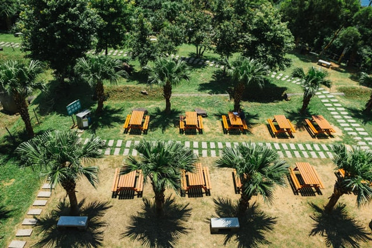 10 Eco-Friendly Landscaping Ideas for a More Natural Concept