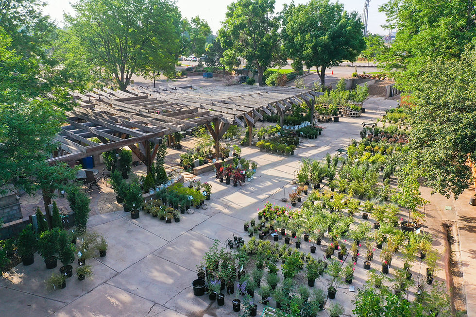 The Differences Between Greenhouse Nursery Garden Center The Differences Between Greenhouse Nursery Garden Center