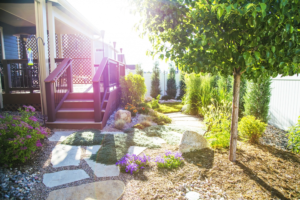 What Is Xeriscape Landscaping? A Guide to Water-Efficient Design