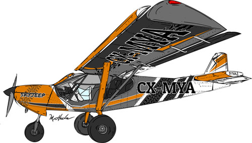 Airplane Paint Schemes