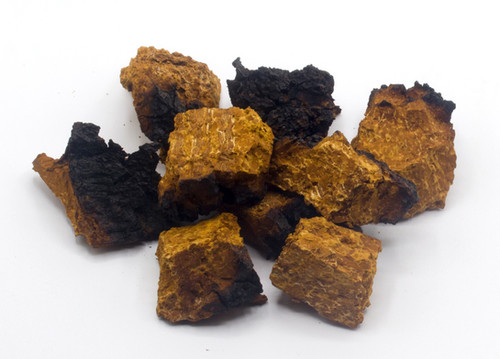Chaga (dried; chunks) | whitemountainmshrms