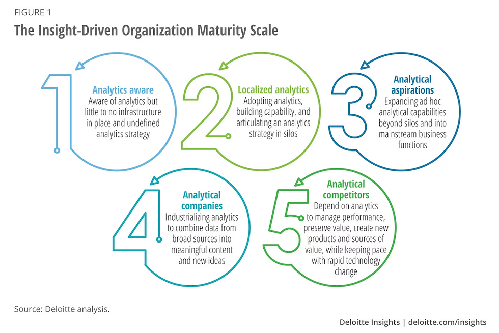 What Is Insight Driven Organization (IDO) Maturity Scale?