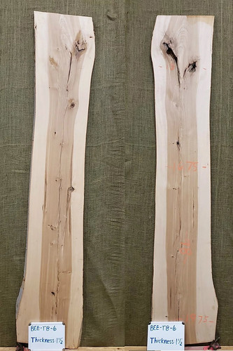 Live edge Beech wood slab 98" X 18.1" | Sassafras Slab Co.