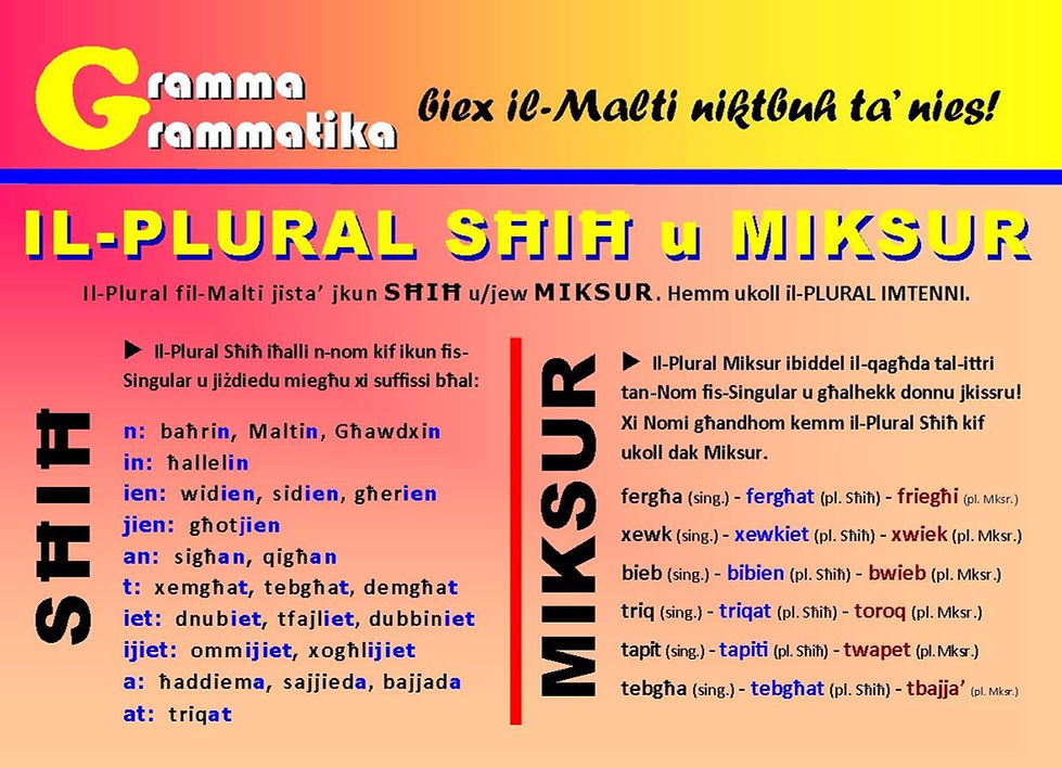 Il-Plural Sħiħ u Miksur | lehhilmalti