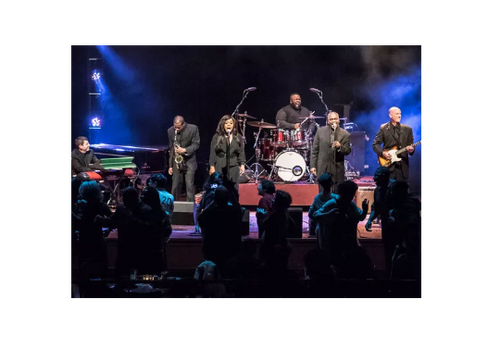 Booking Information For: DC Fusion | 14thFloorMusic